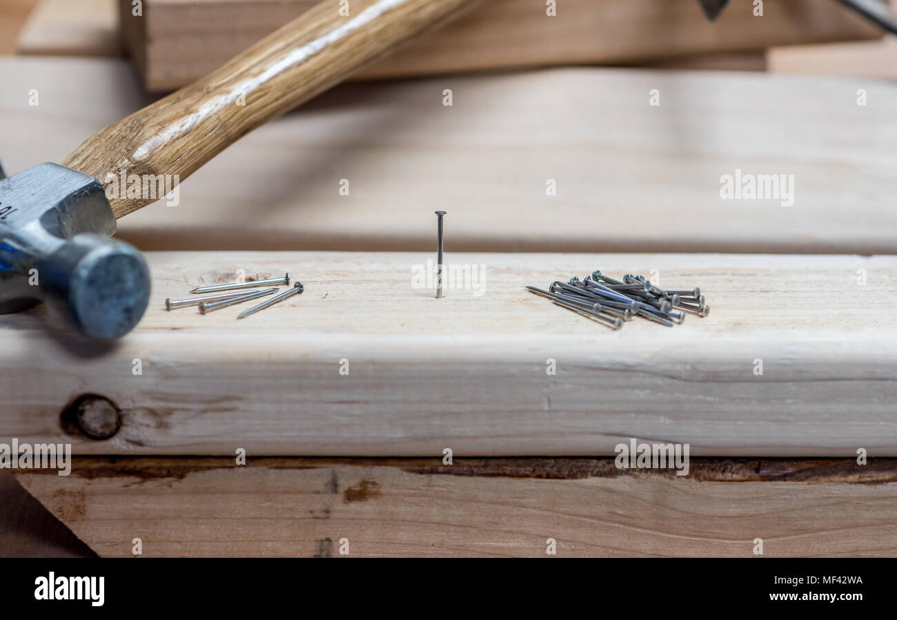Fresh lumber ready for future projects Stock Photo - Alamy
