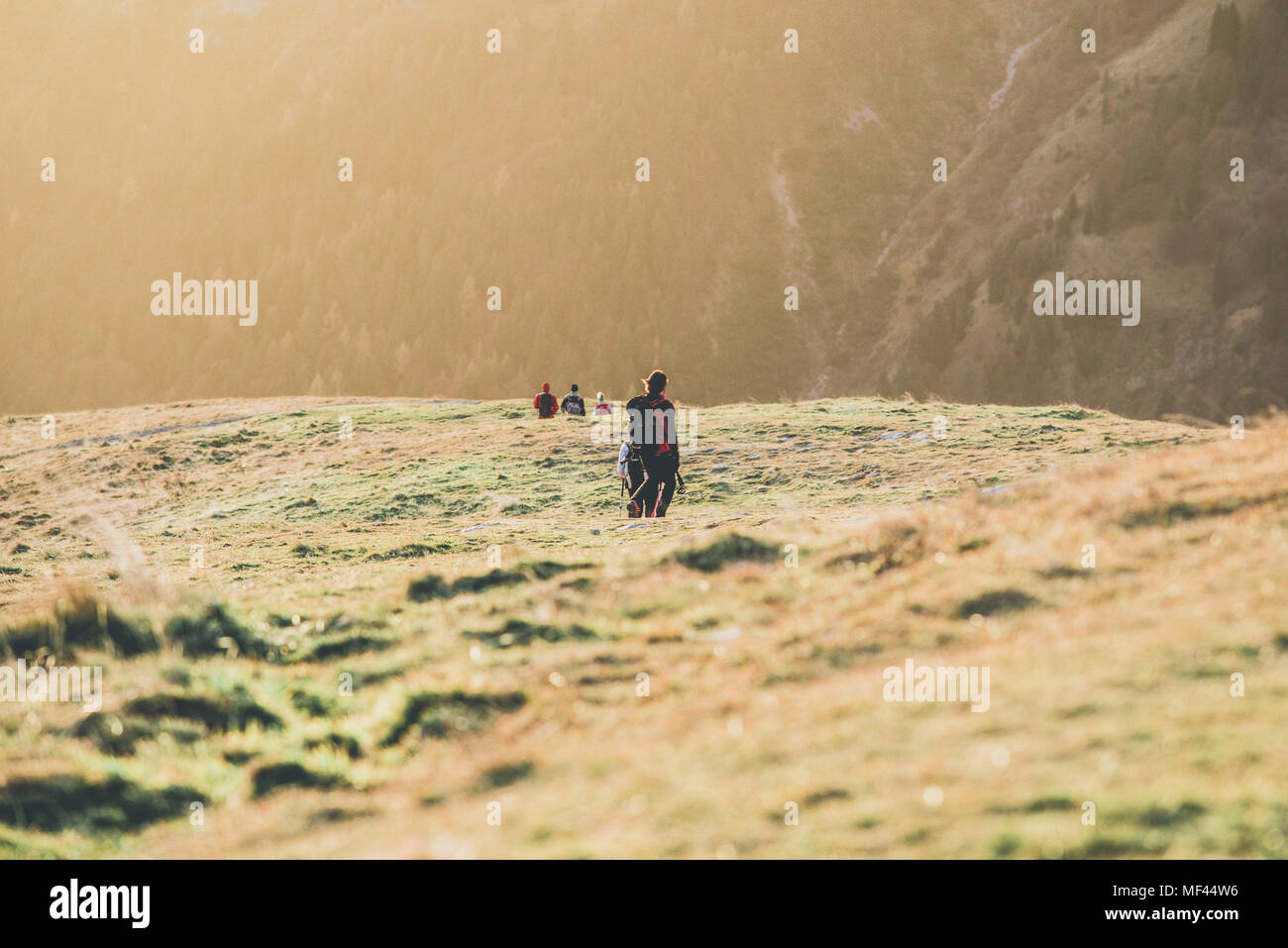 landscapes and outdoor avtivity - spring mood - desaturated style image ...