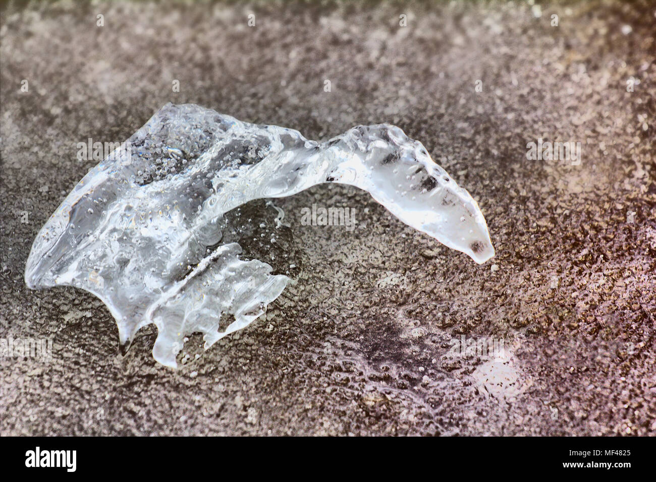 Icicle is reminiscent of the Dodo bird. Structure of ice, ice fabric ...