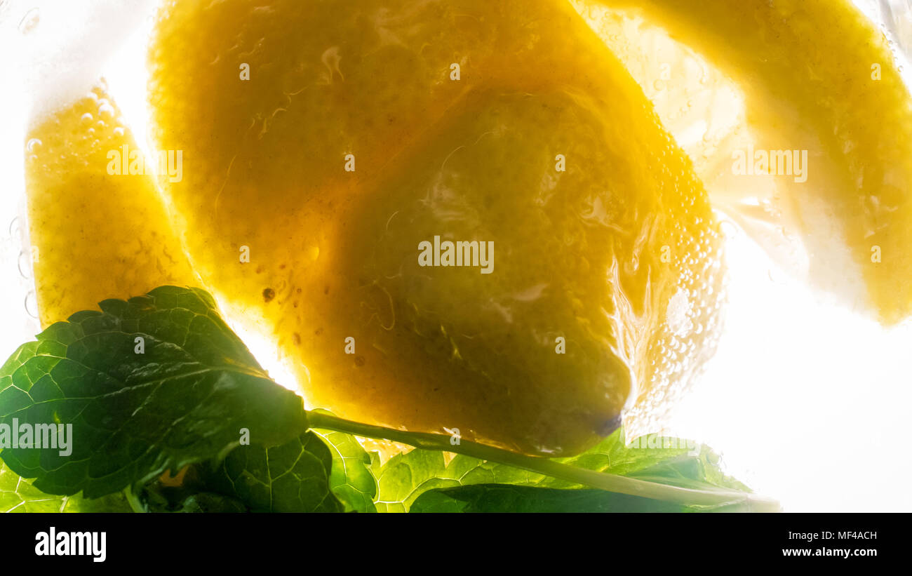 Macro backlit image of lemons and mint leaves in carbonated water Stock ...