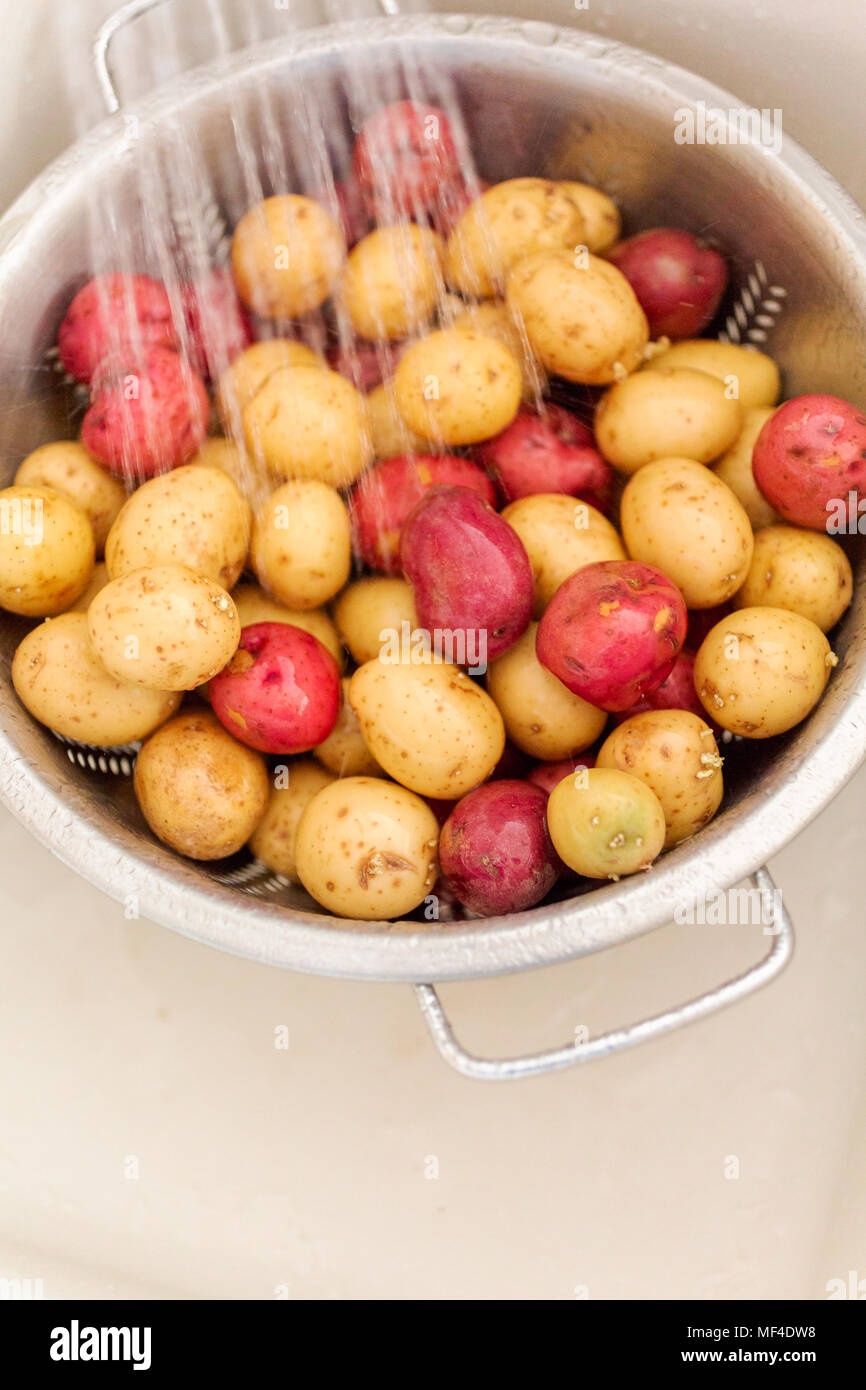 Little red and gold potatoes getting washed in colander Stock Photo - Alamy