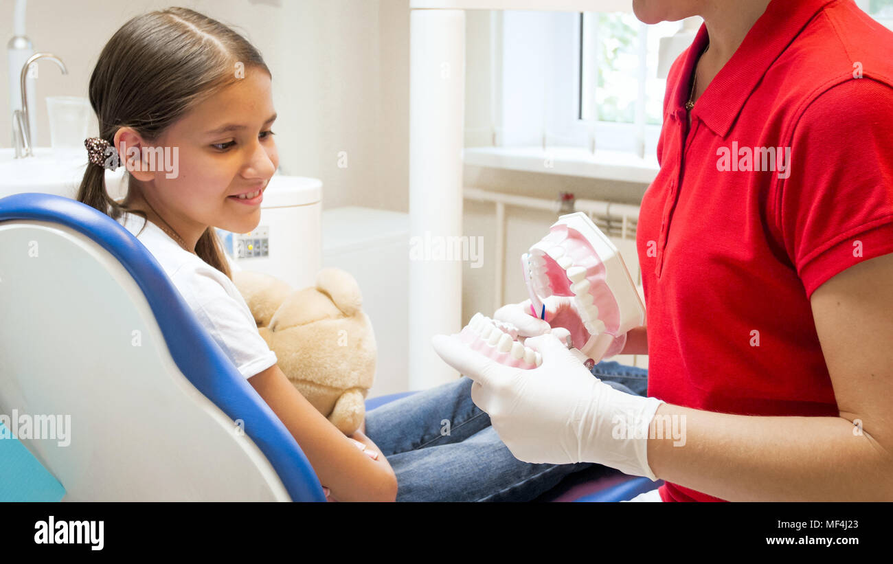 Closeup image of pediatric dentist using plastic jaw model to educate ...