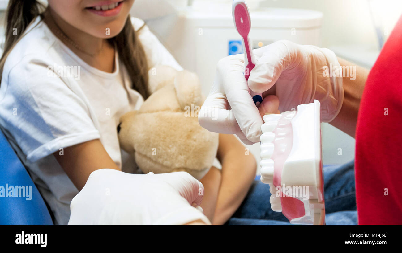 Closeup image of dentist teaching cleaning teeth using plastic teeth ...
