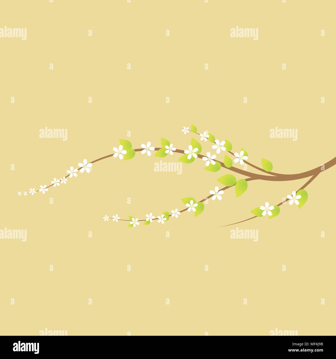 Blooming cherry tree branch in spring. Vector illustration Stock Vector ...