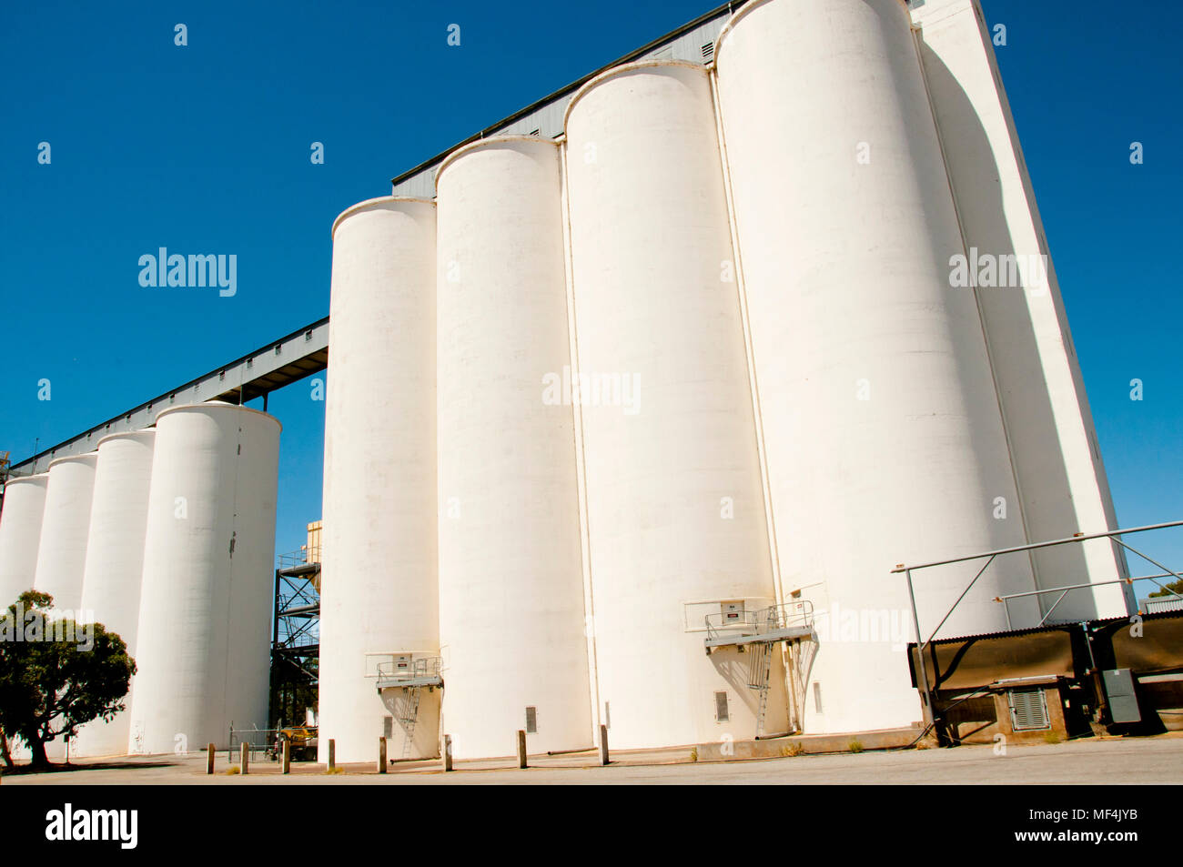 Concrete Wheat Silos - Tammin - Western Australia Stock Photo - Alamy