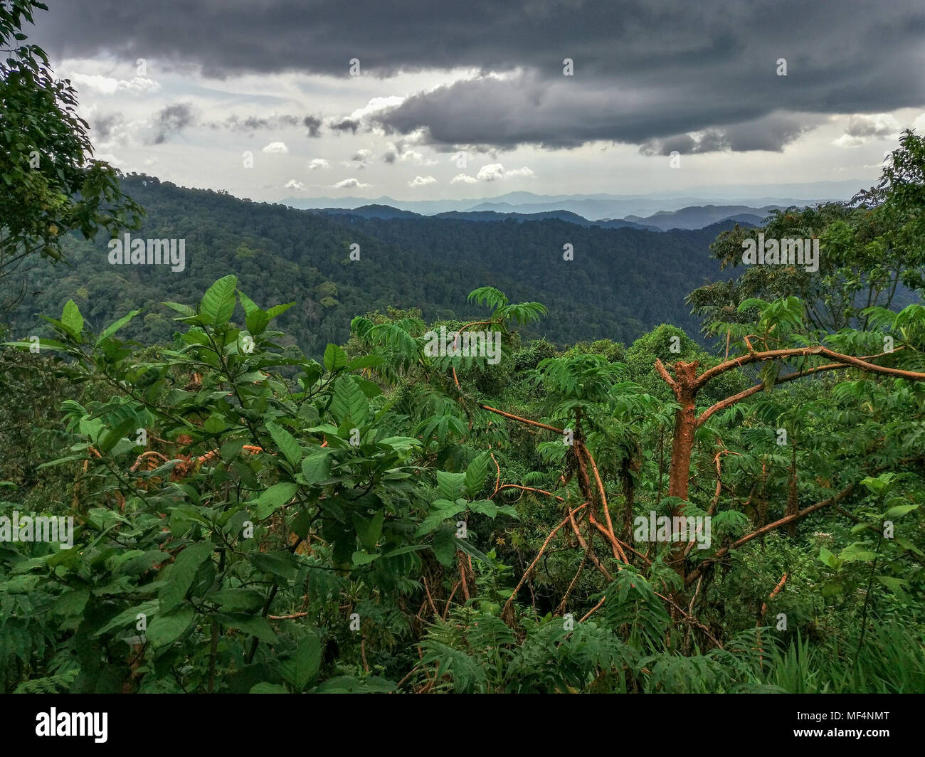 Thailand and rwanda hi-res stock photography and images - Alamy