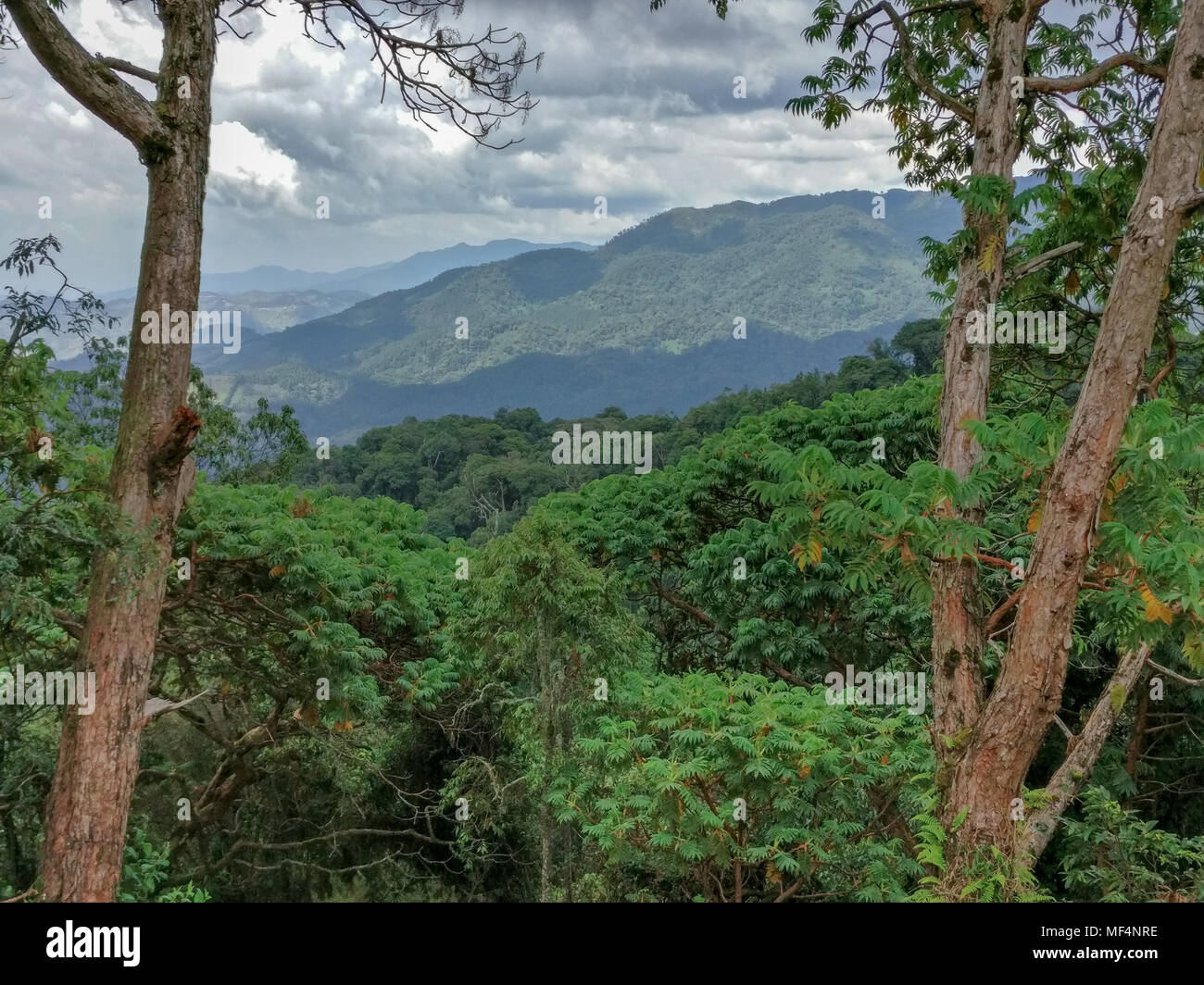 Thailand and rwanda hi-res stock photography and images - Alamy
