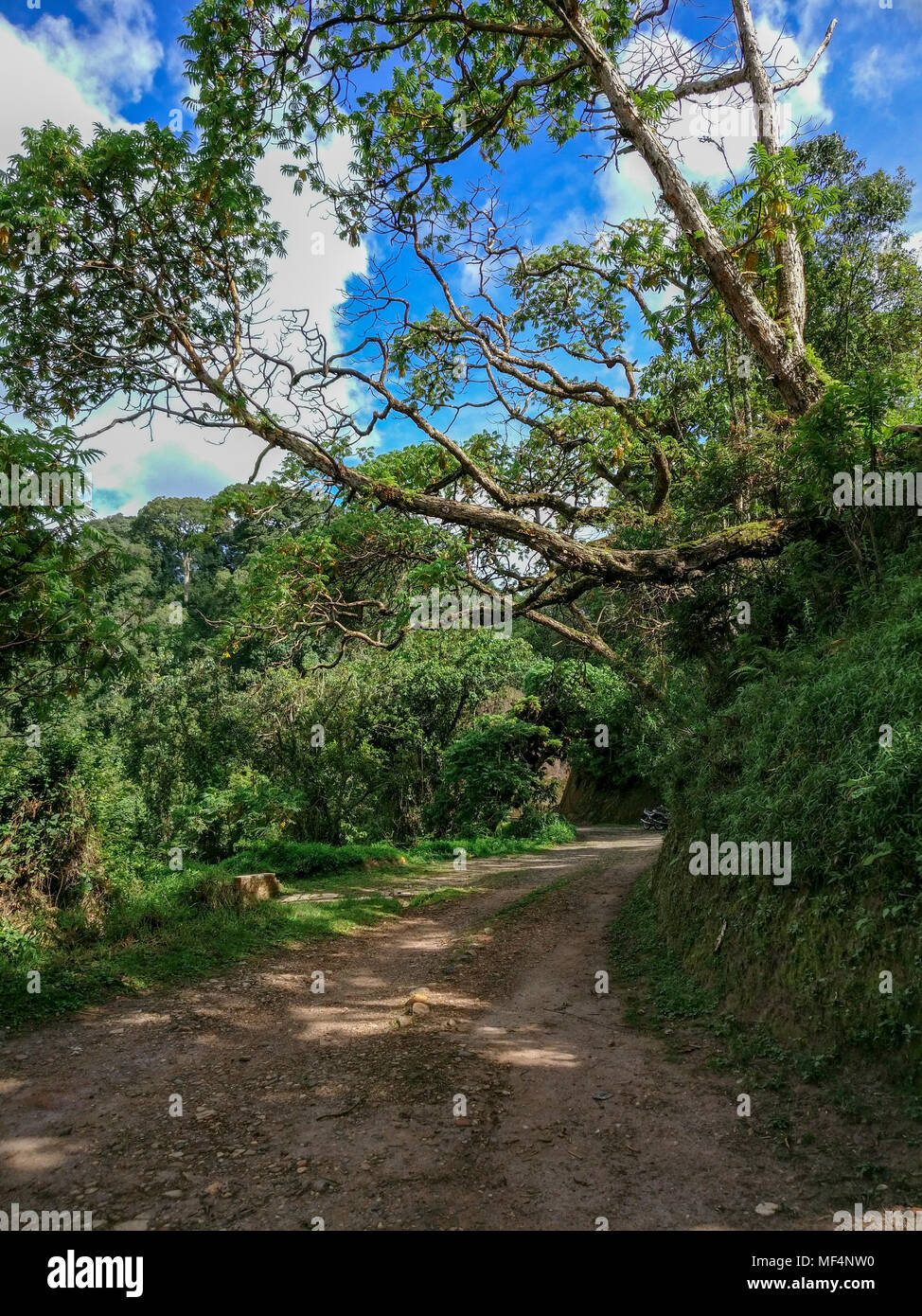 Thailand and rwanda hi-res stock photography and images - Alamy