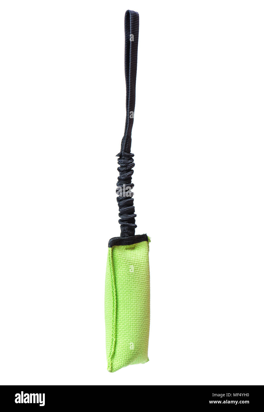 Cat black white color Cut Out Stock Images & Pictures - Alamy