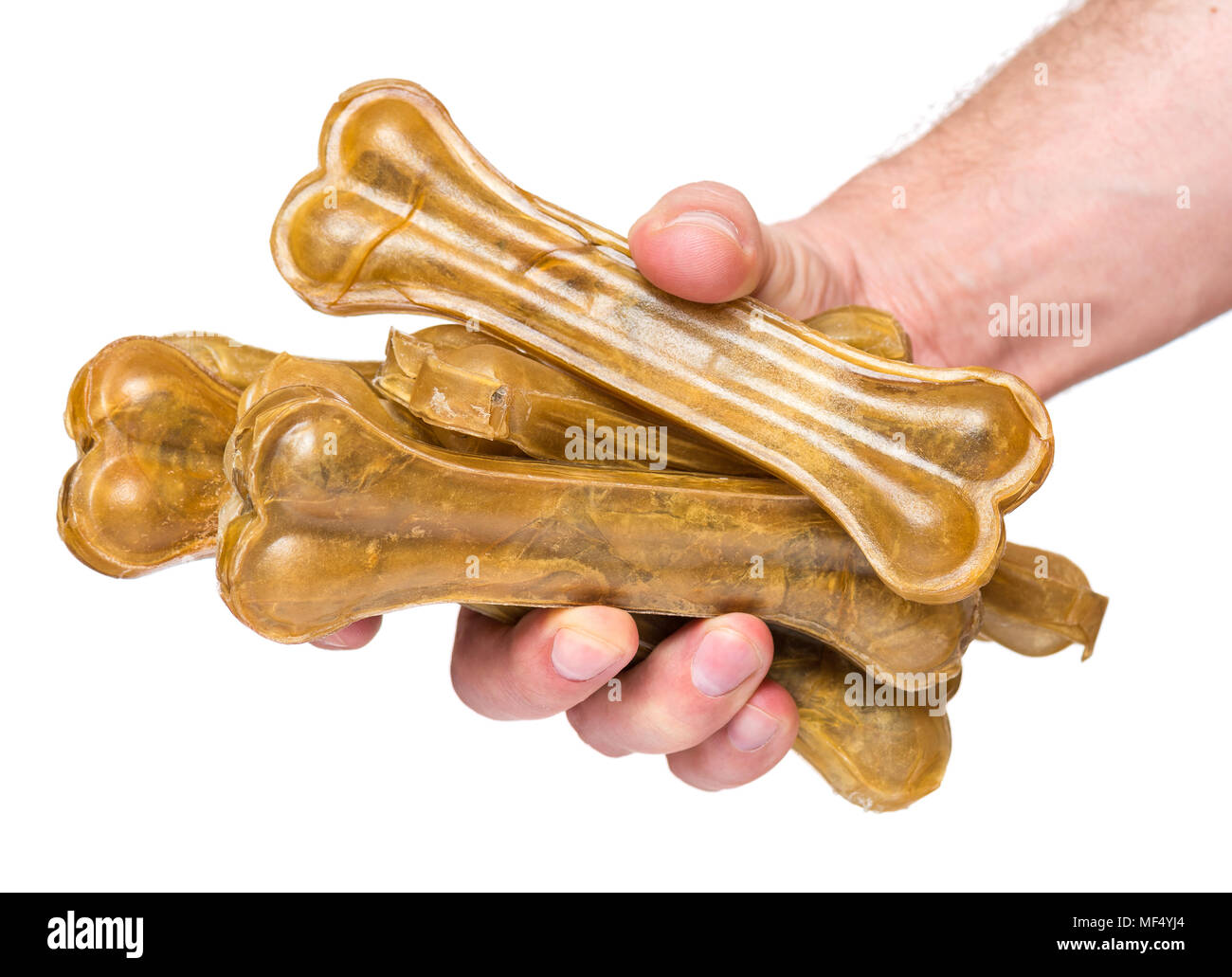 Hand with dog bone Stock Photo - Alamy