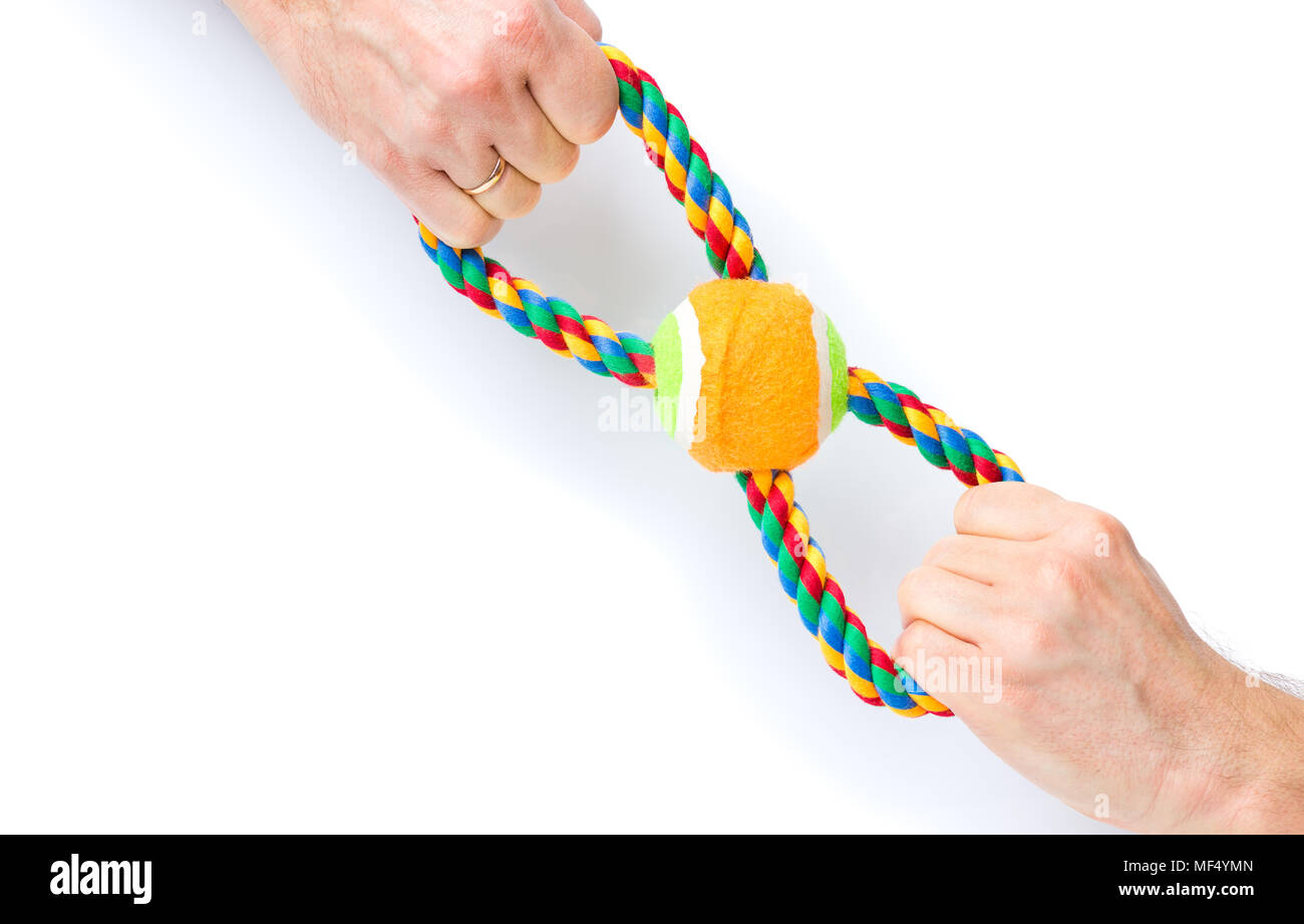 Hand with dog toy Stock Photo - Alamy