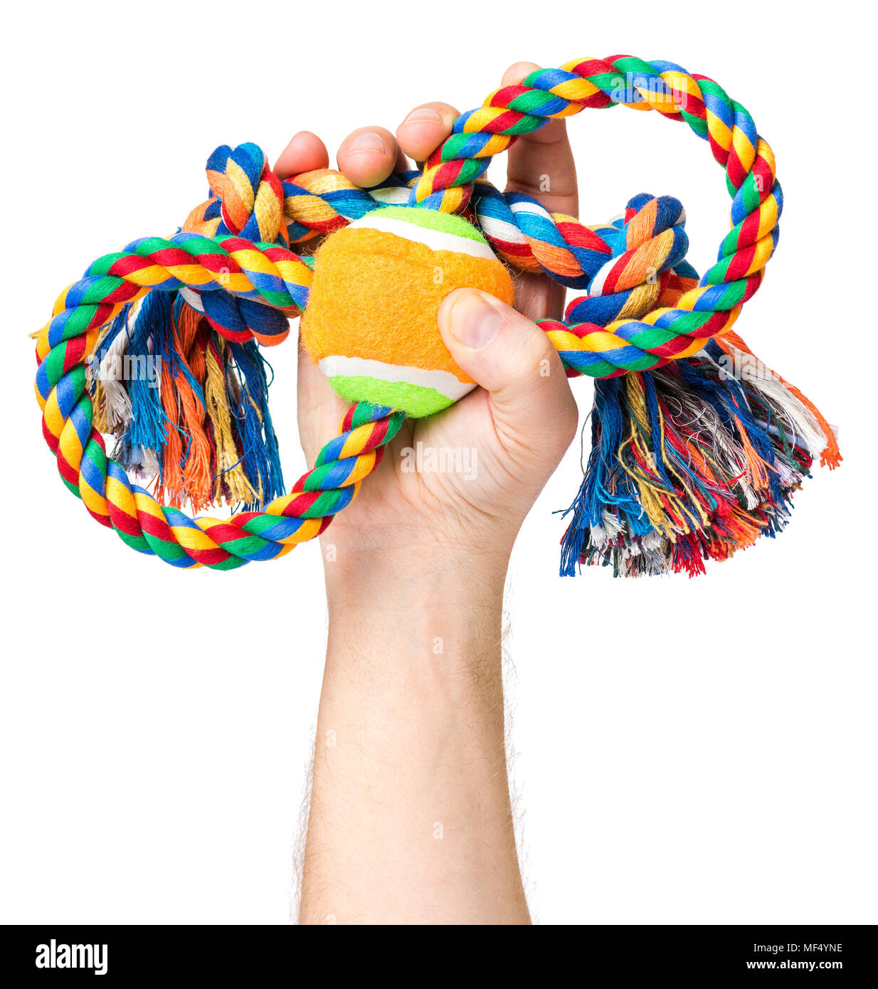 Hand with dog toy Stock Photo - Alamy