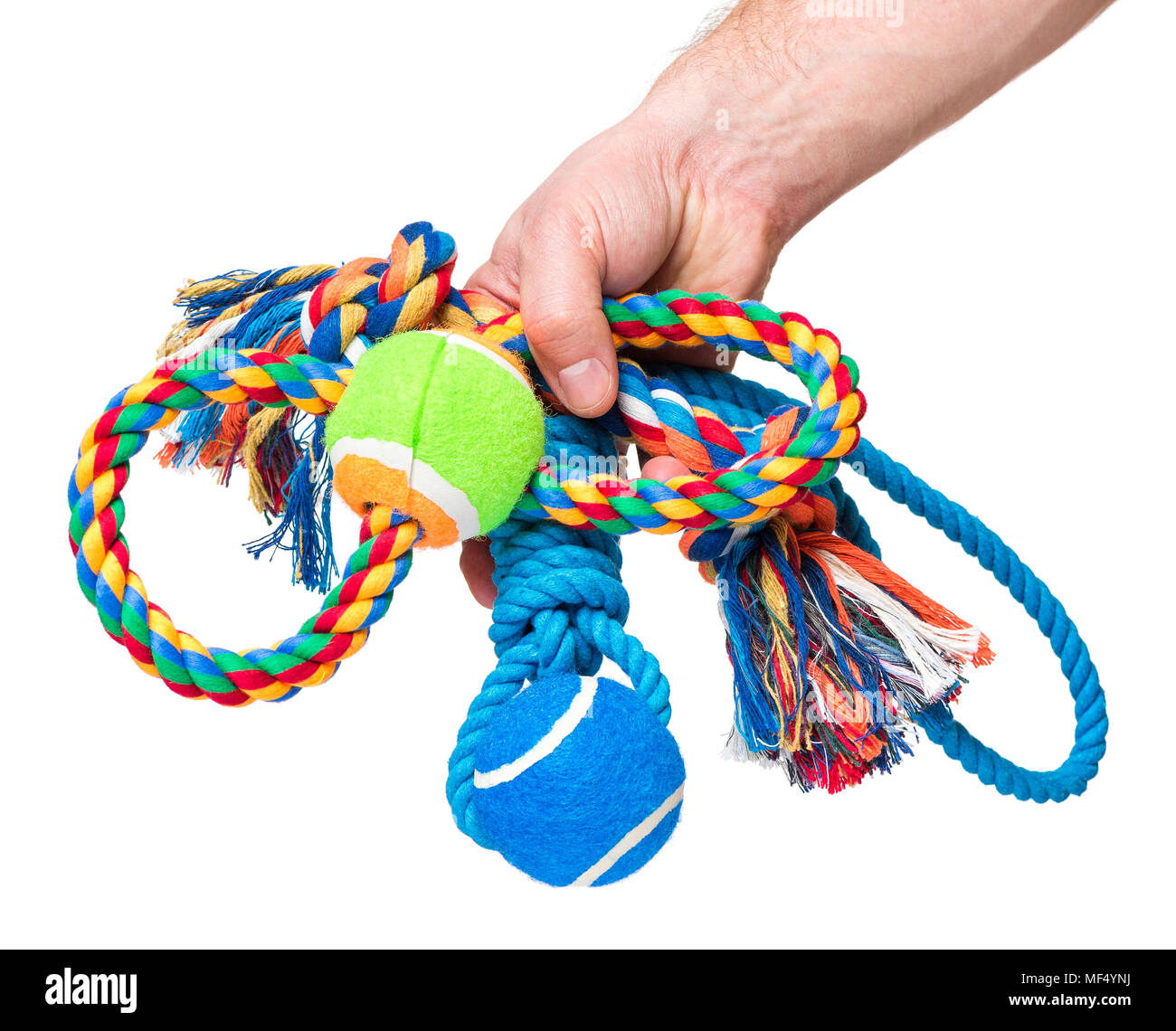 Hand with dog toy Stock Photo - Alamy