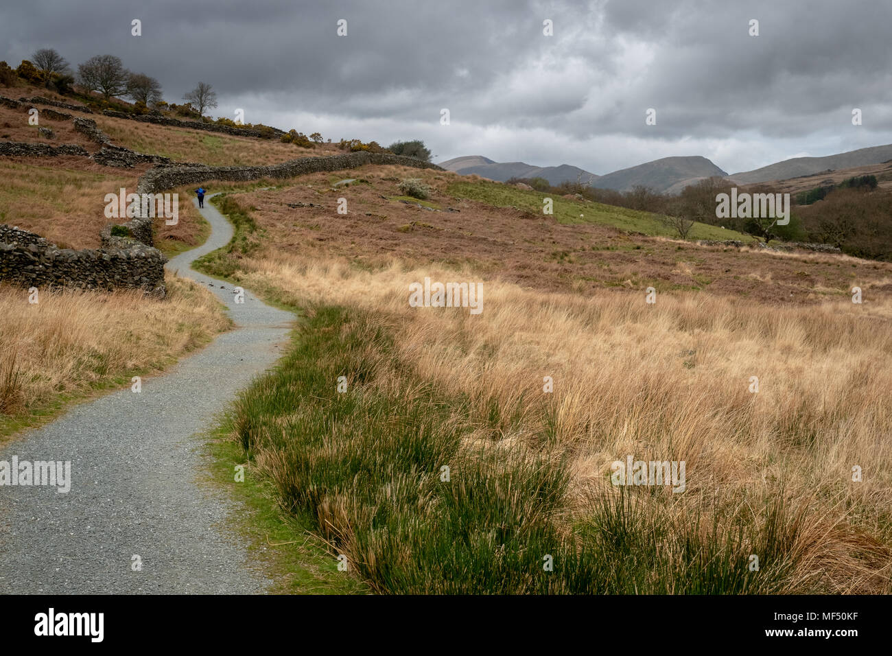 Beddgelert to Rhyd Ddu Path A gentle wooded walk with panoramic views ...
