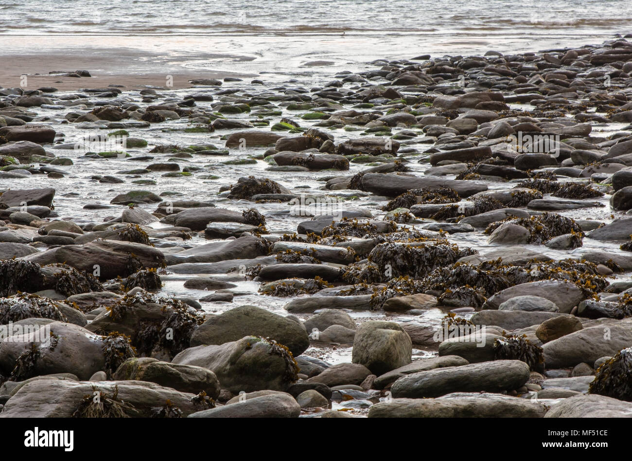 Sandy beach with boulders in North Devon, England Stock Photo - Alamy