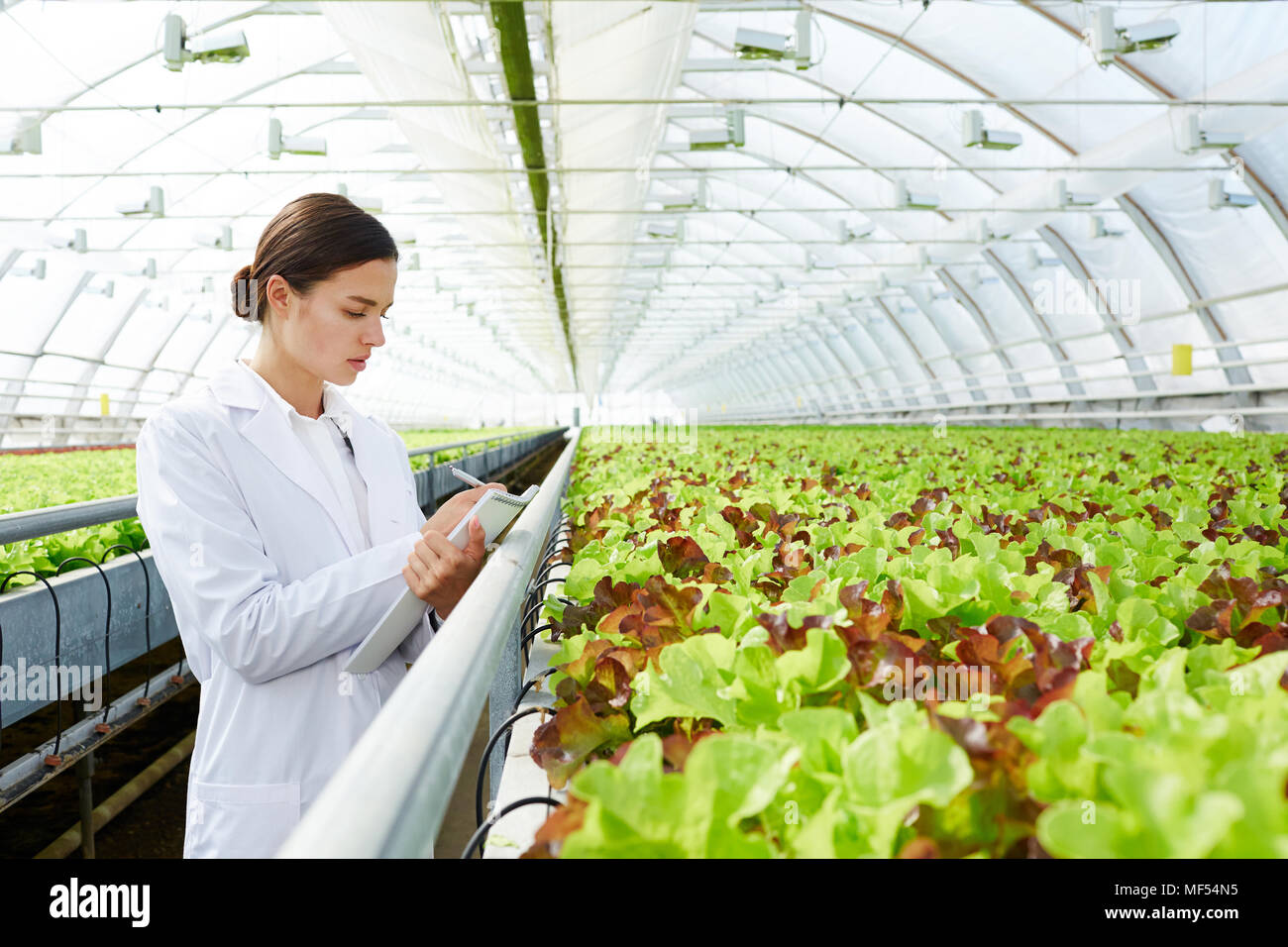Female industrial employee in green hi-res stock photography and images - Alamy