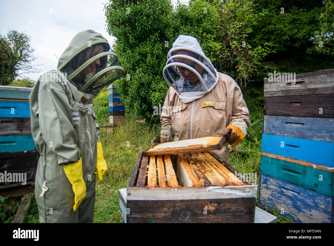 Beekeeper David Wainwright teaches the art of beekeeping to his ...