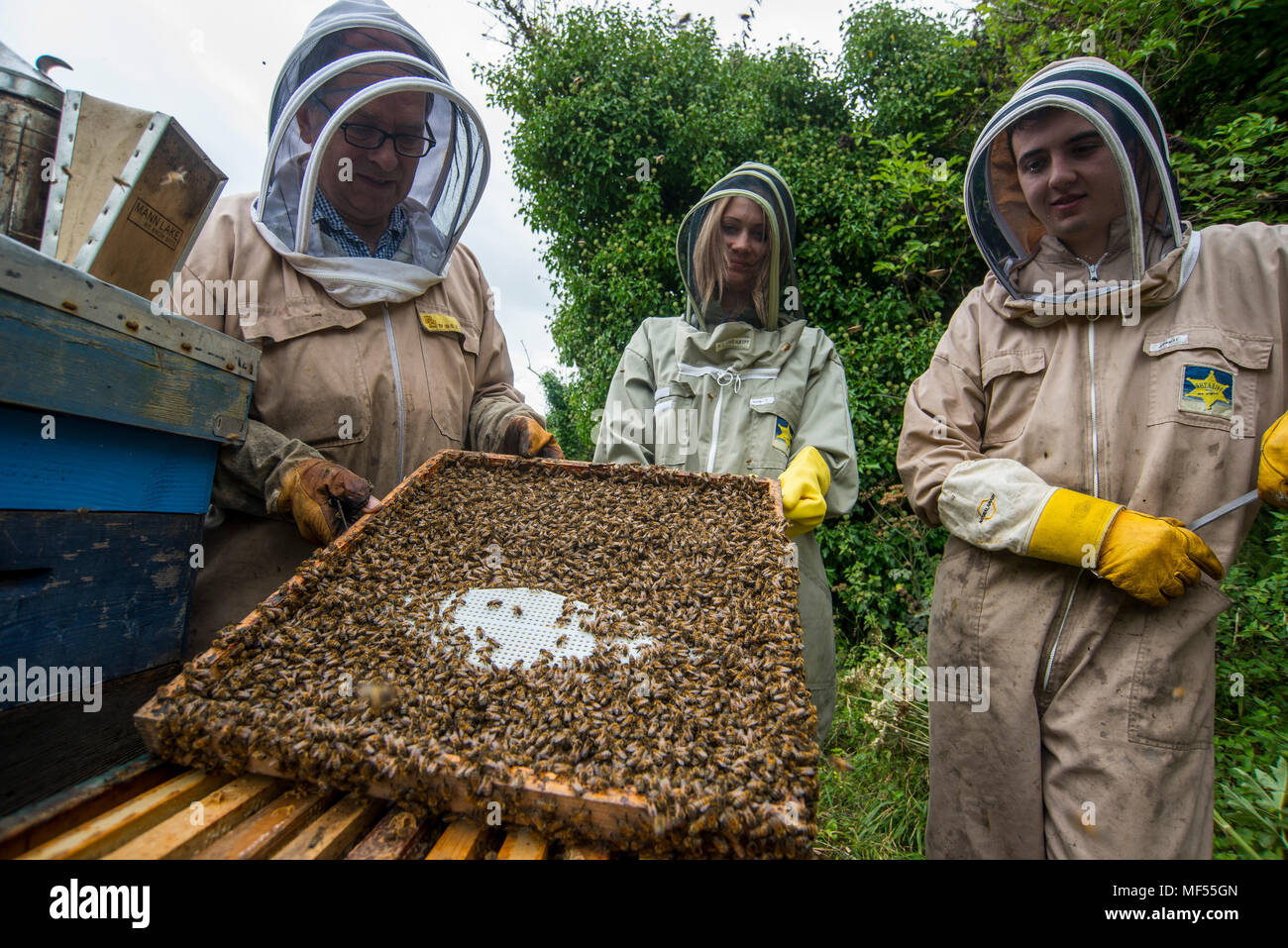 Beekeeper David Wainwright teaches the art of beekeeping to his ...