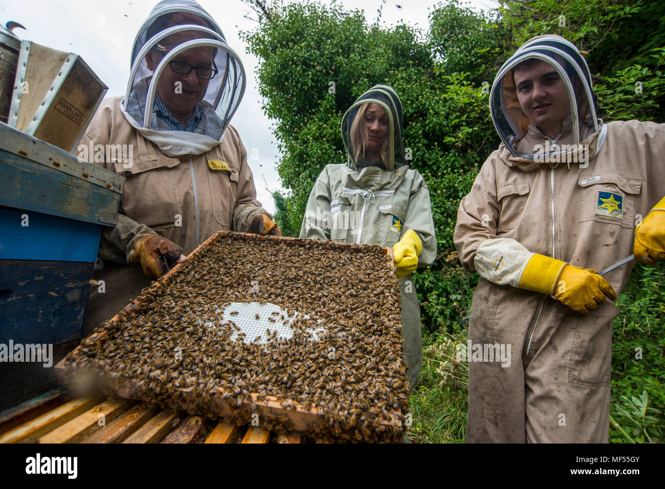 Beekeeper David Wainwright teaches the art of beekeeping to his apprentice Gruff Tomas and ...