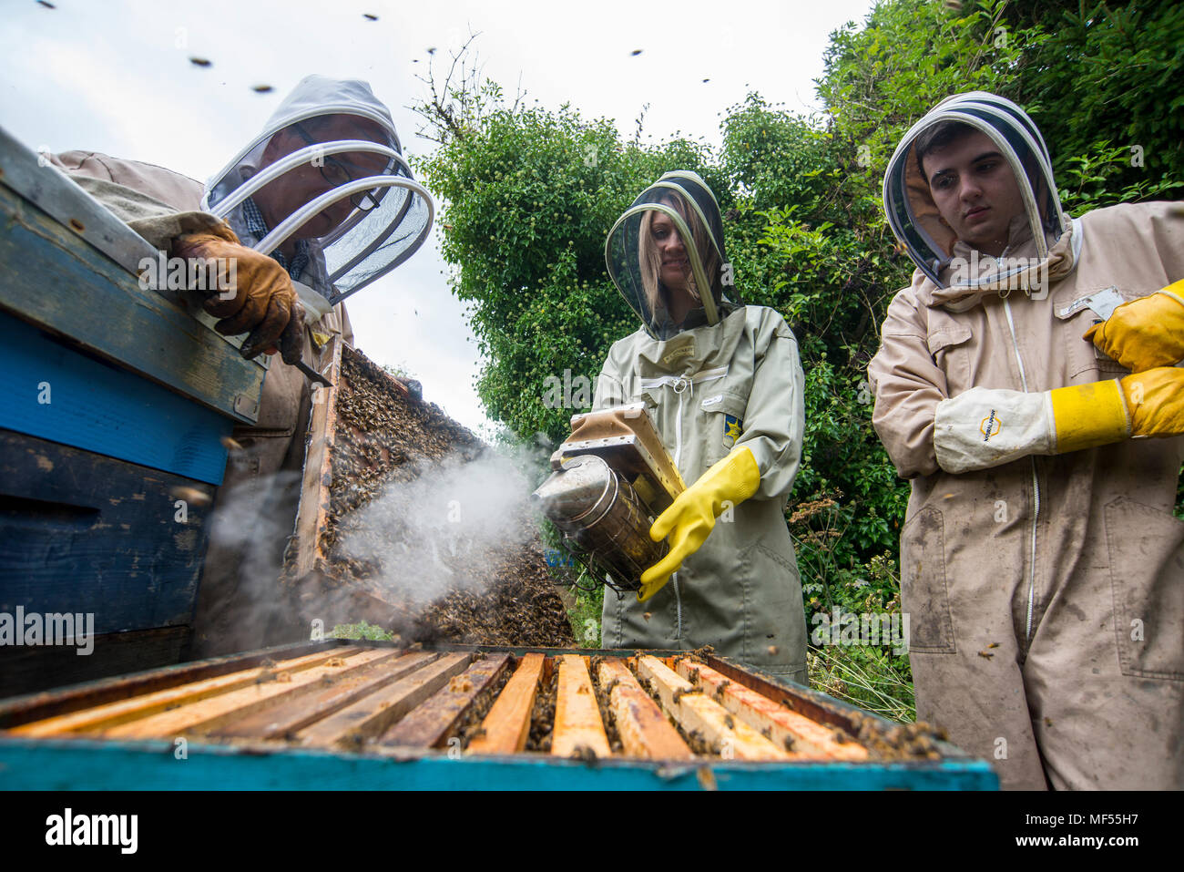 Beekeeper David Wainwright teaches the art of beekeeping to his ...