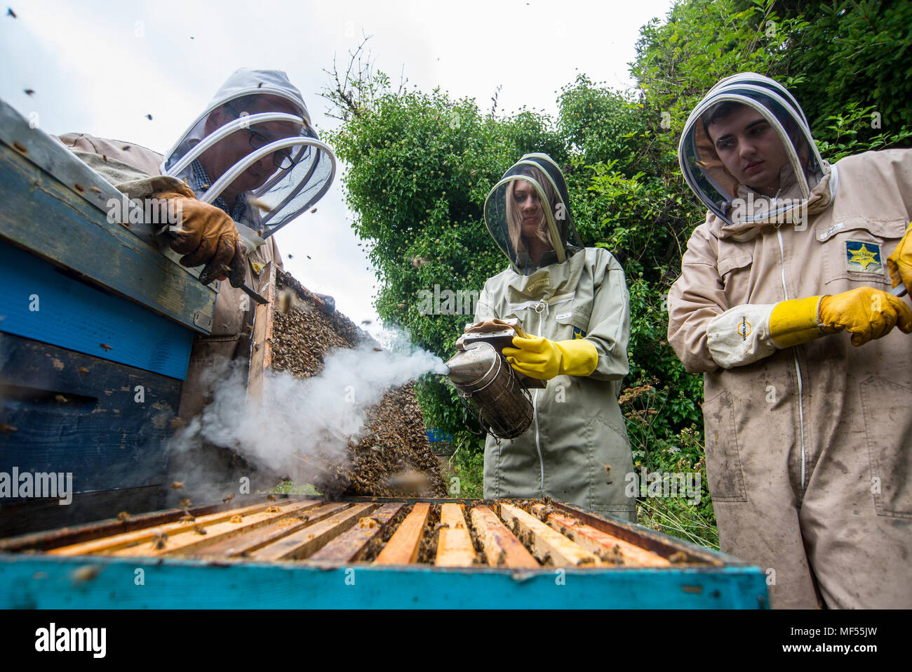 Beekeeper David Wainwright teaches the art of beekeeping to his apprentice Gruff Tomas and ...