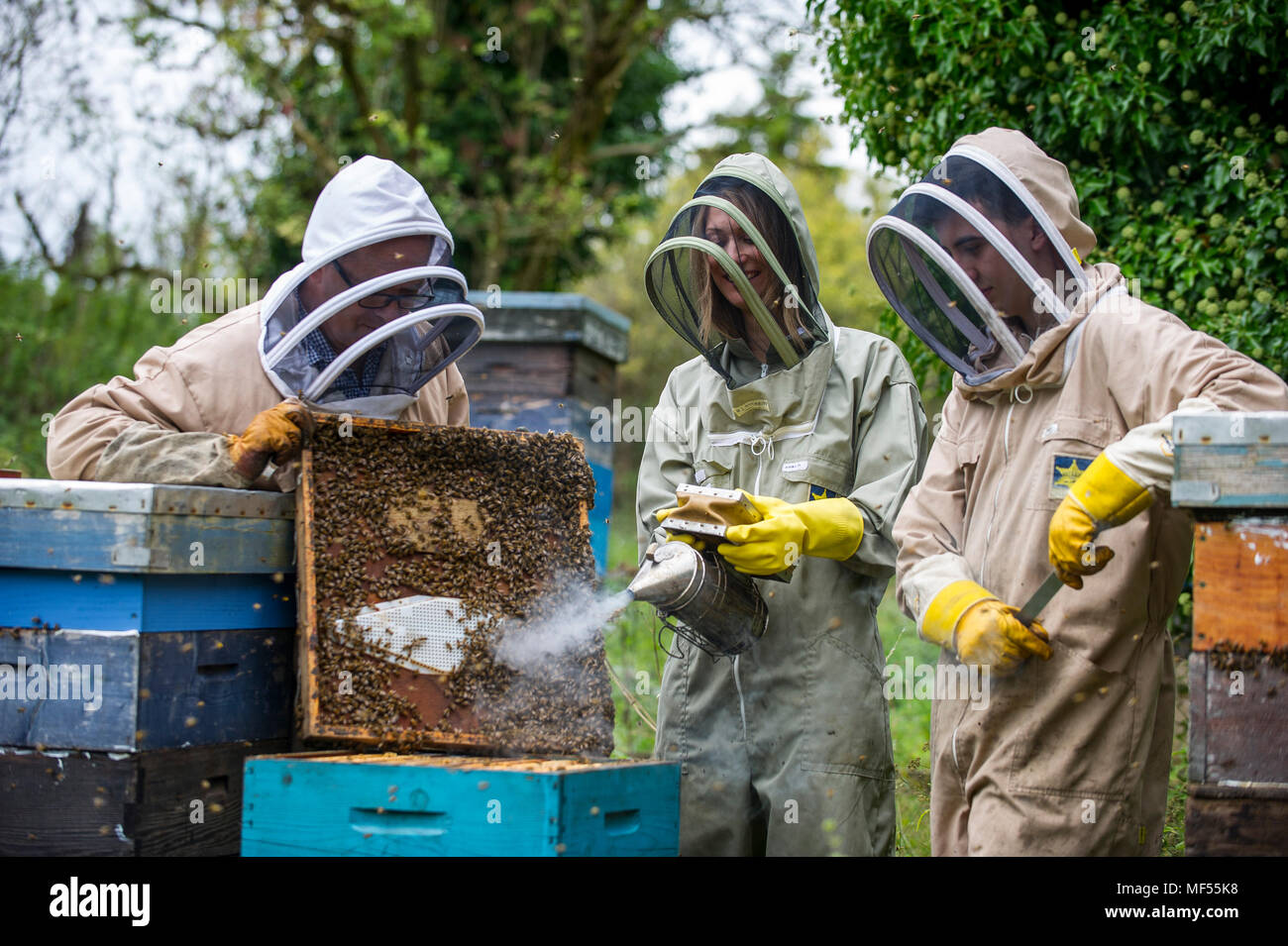 Beekeeper David Wainwright teaches the art of beekeeping to his ...