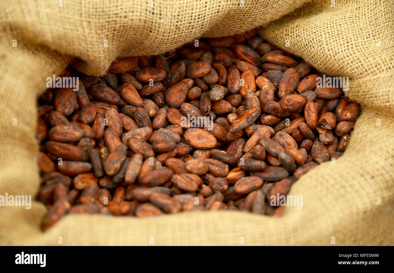 Cacao seeds in a bag Stock Photo - Alamy