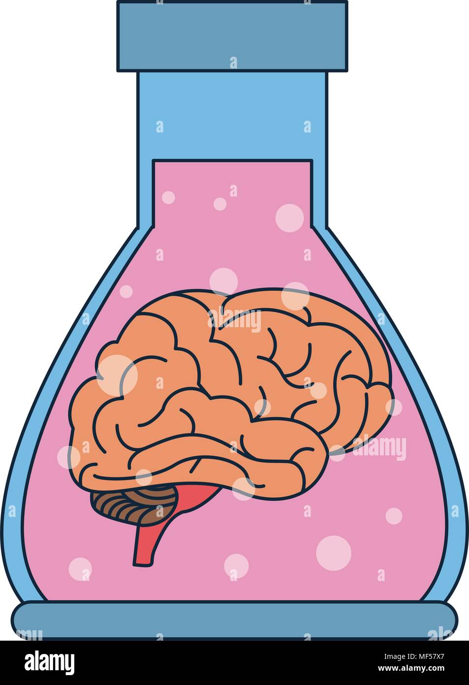 Human brain inside flask Stock Vector Image & Art - Alamy