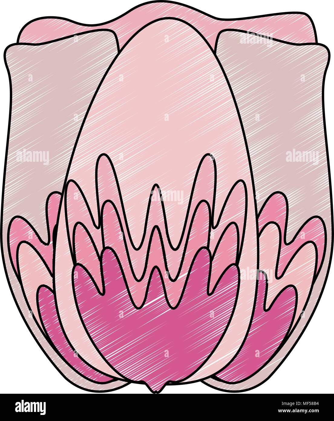 Beautiful flower symbol scribble Stock Vector Image & Art - Alamy
