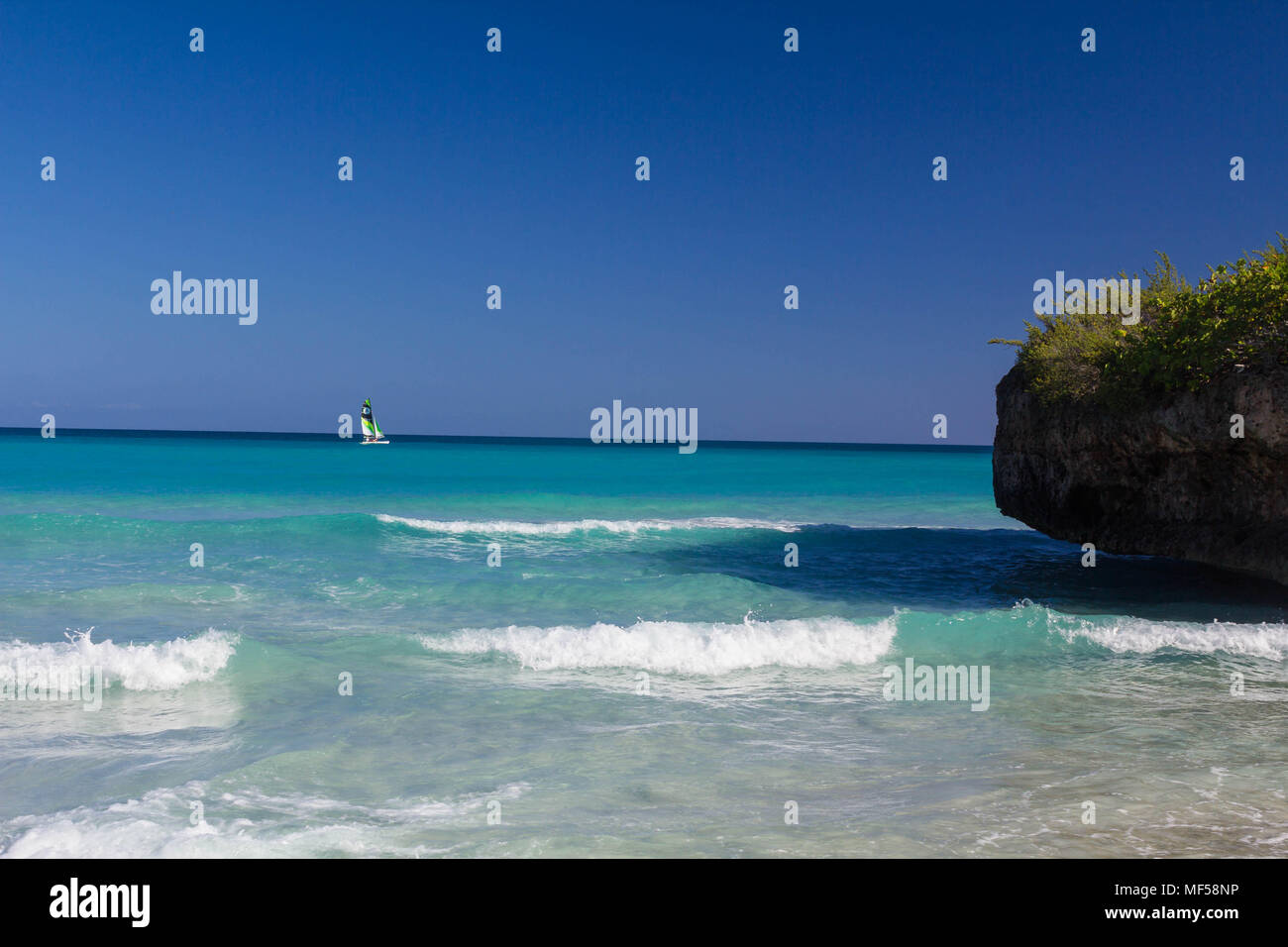 Tropical surf waves beach ocean hi-res stock photography and images - Alamy