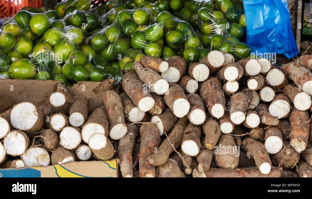 Casabe or casava hi-res stock photography and images - Alamy