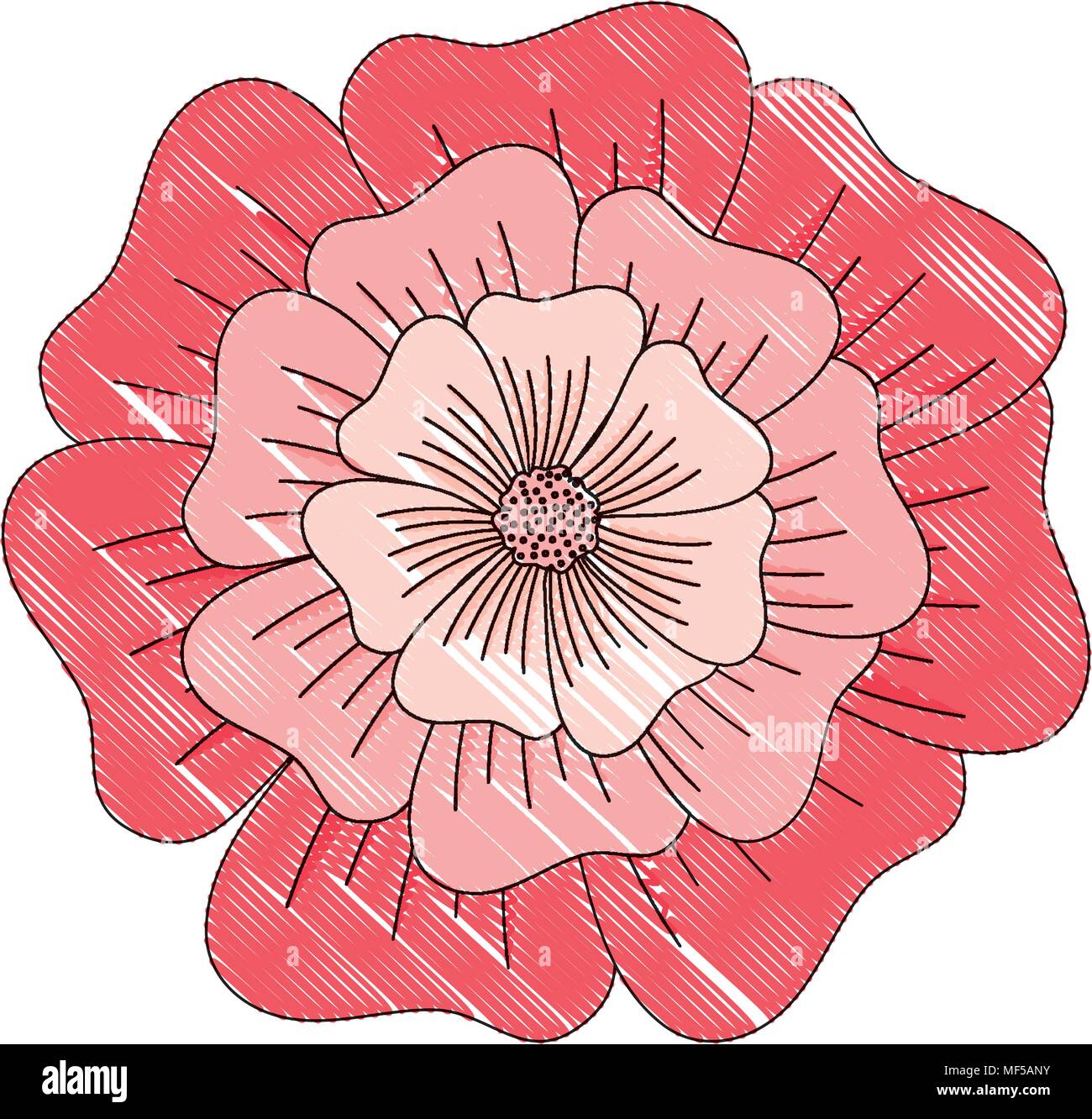 tropical flower icon over white background, colorful design. vector ...