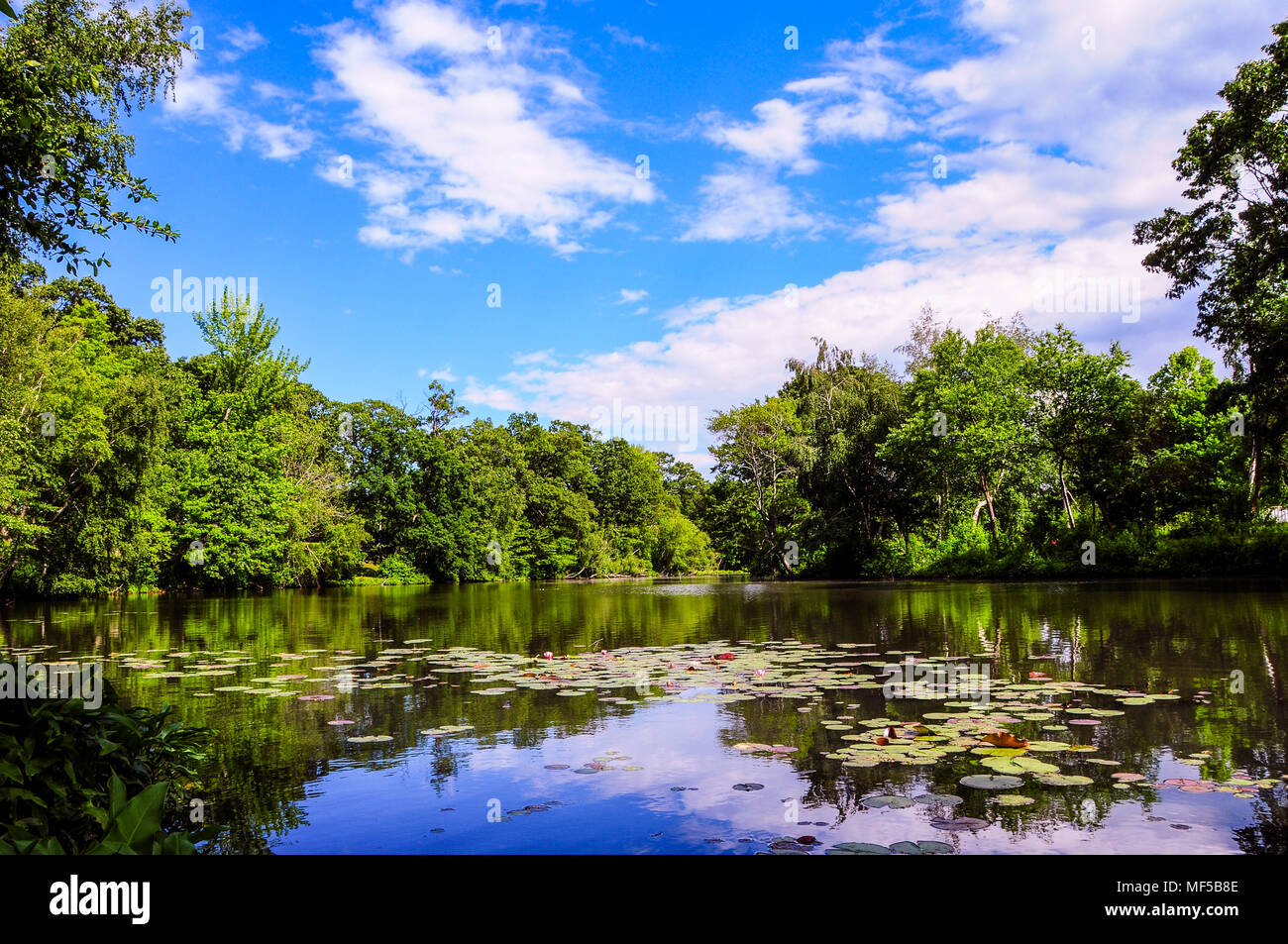 Roger williams rhode island hi-res stock photography and images - Alamy