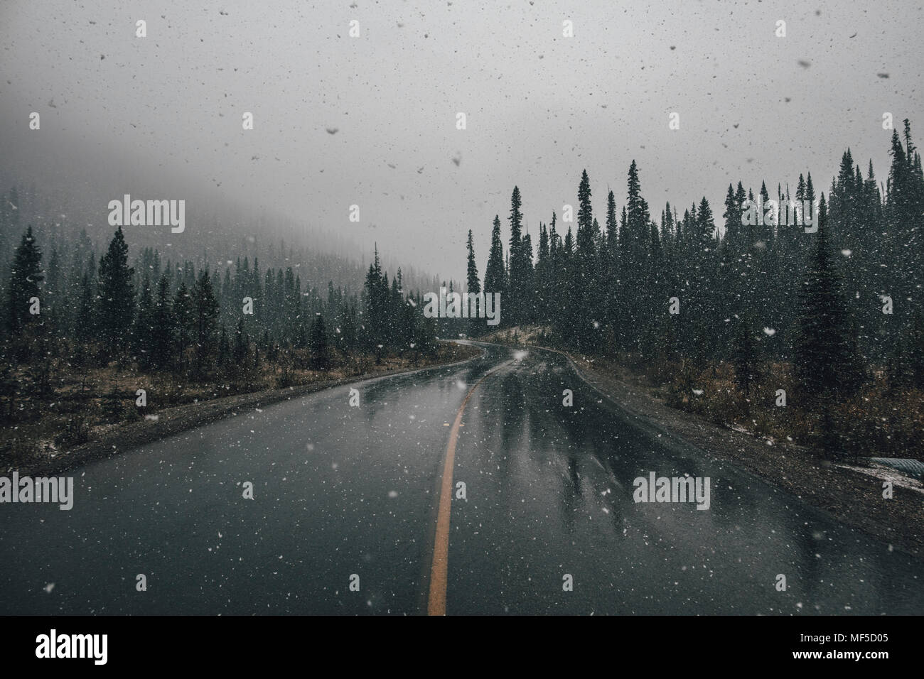 Yoho valley road hi-res stock photography and images - Alamy