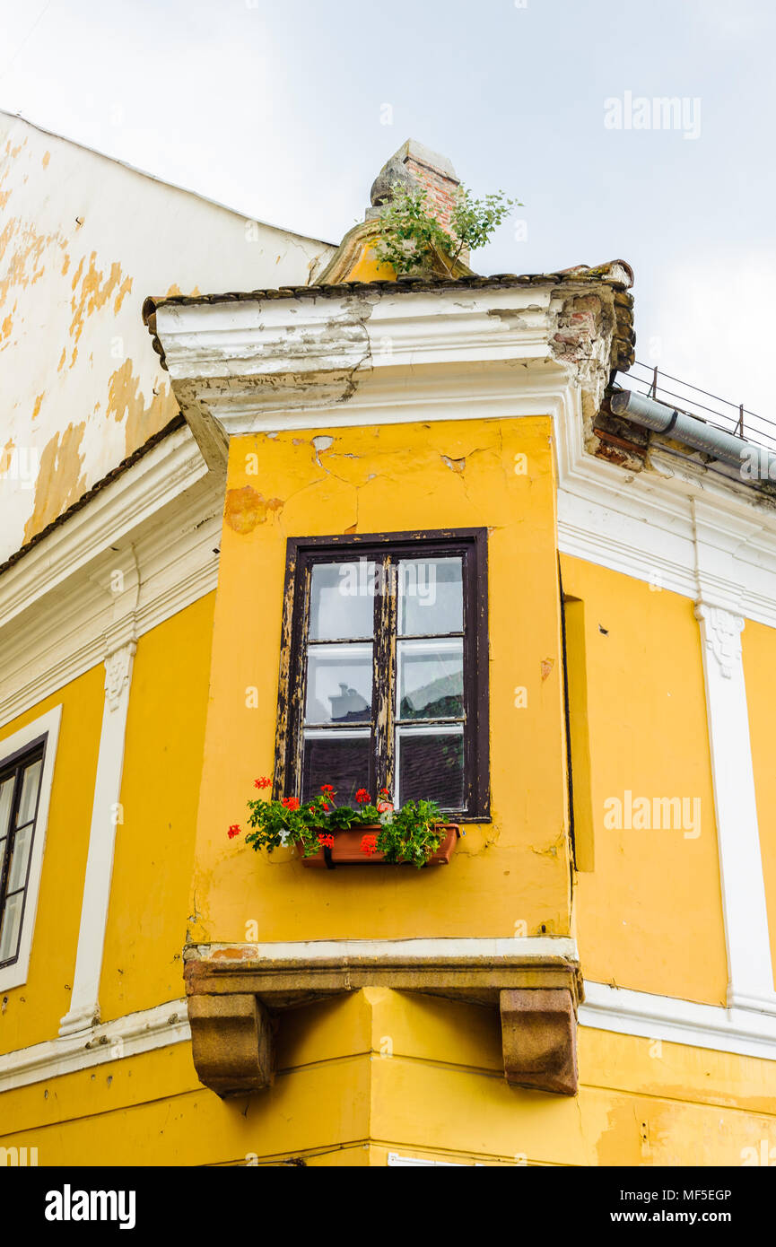 Flower over the window of the yellow house Stock Photo - Alamy