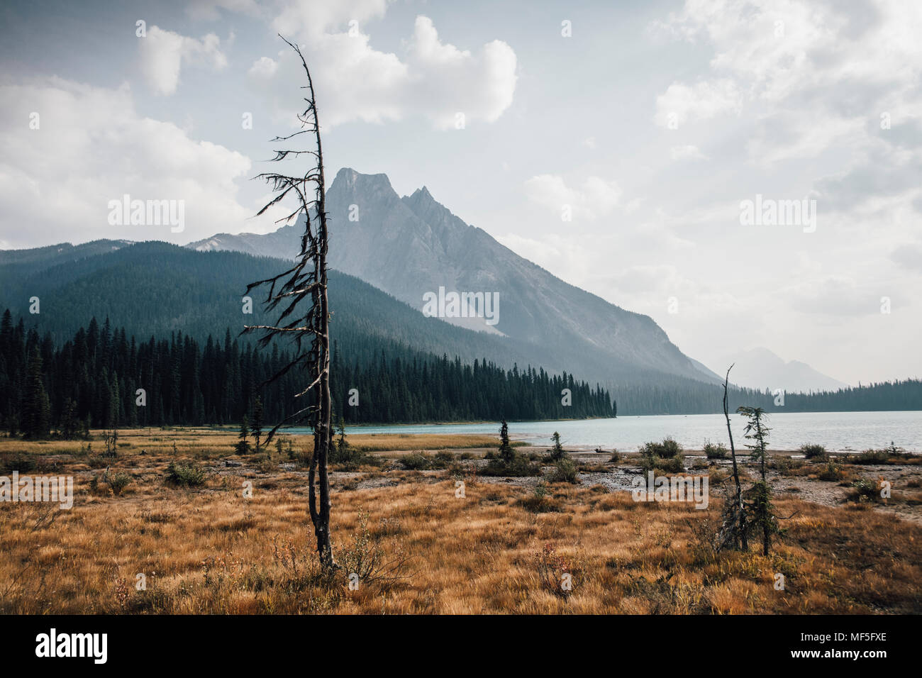 Shuswap lake british columbia hi-res stock photography and images - Alamy