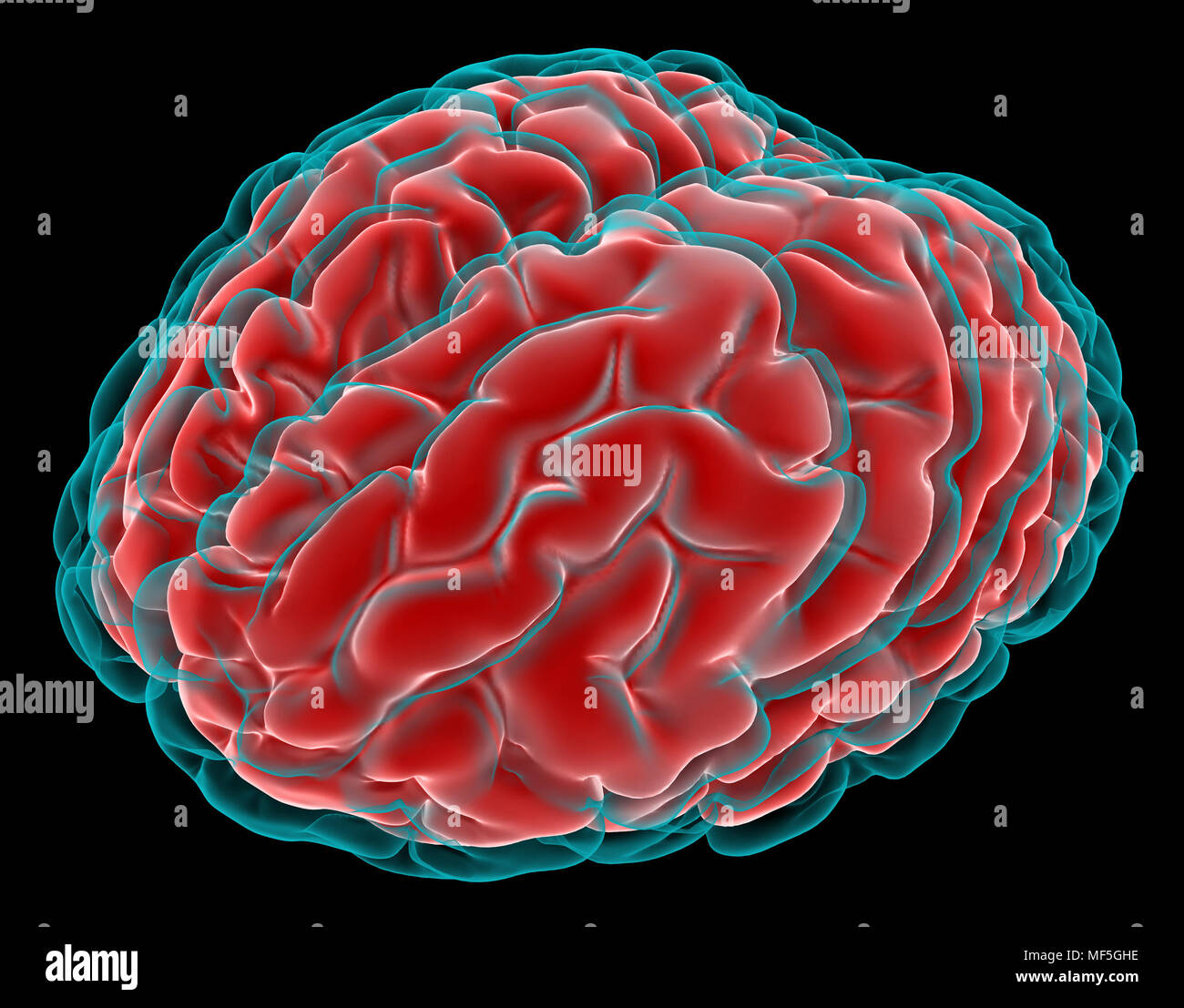 3d cg rendering brain hi-res stock photography and images - Alamy