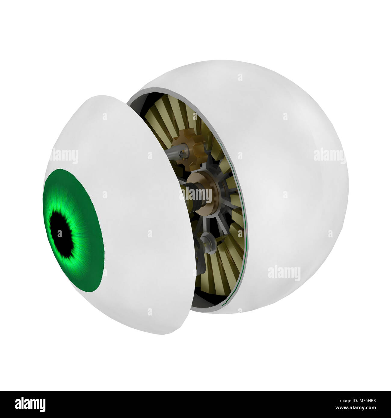 Split mechanical eyeball, 3d, over white, isolated Stock Photo - Alamy