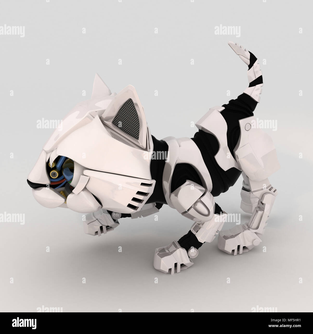 Cartoon cat kitten 3d hi-res stock photography and images - Alamy