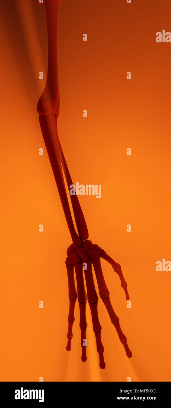 3d cartoon skeleton arm, illuminated Stock Photo - Alamy