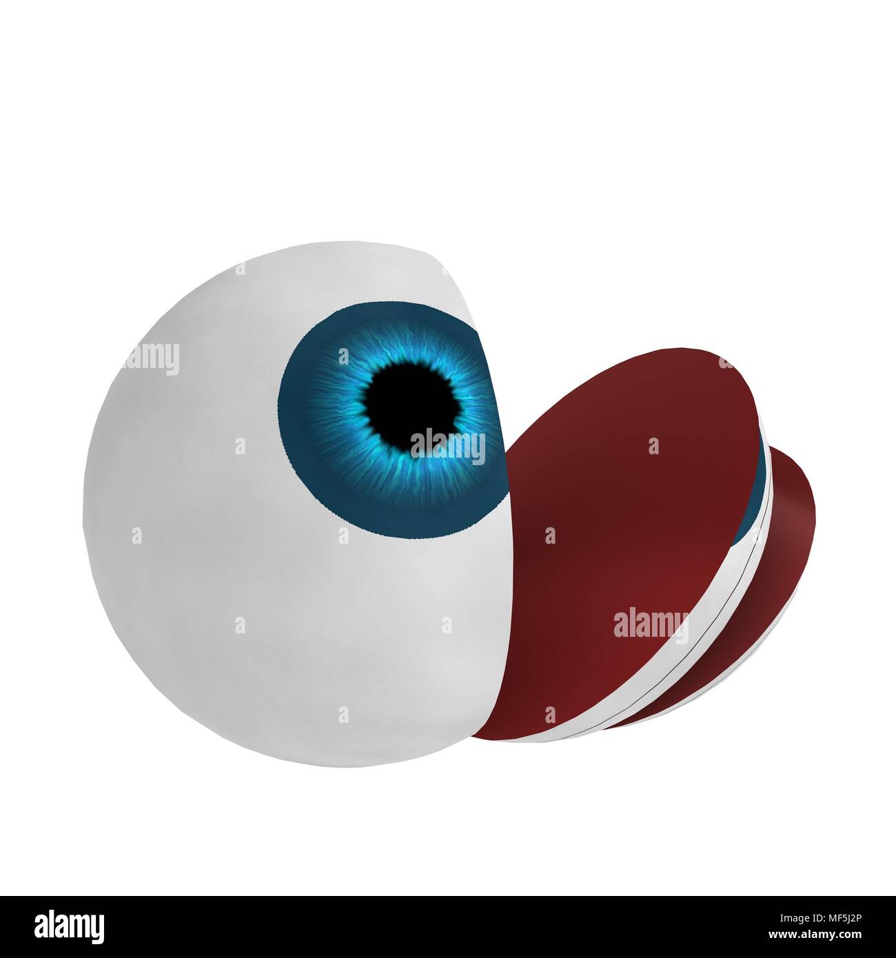 3d eyeball split into several parts, isolated Stock Photo - Alamy