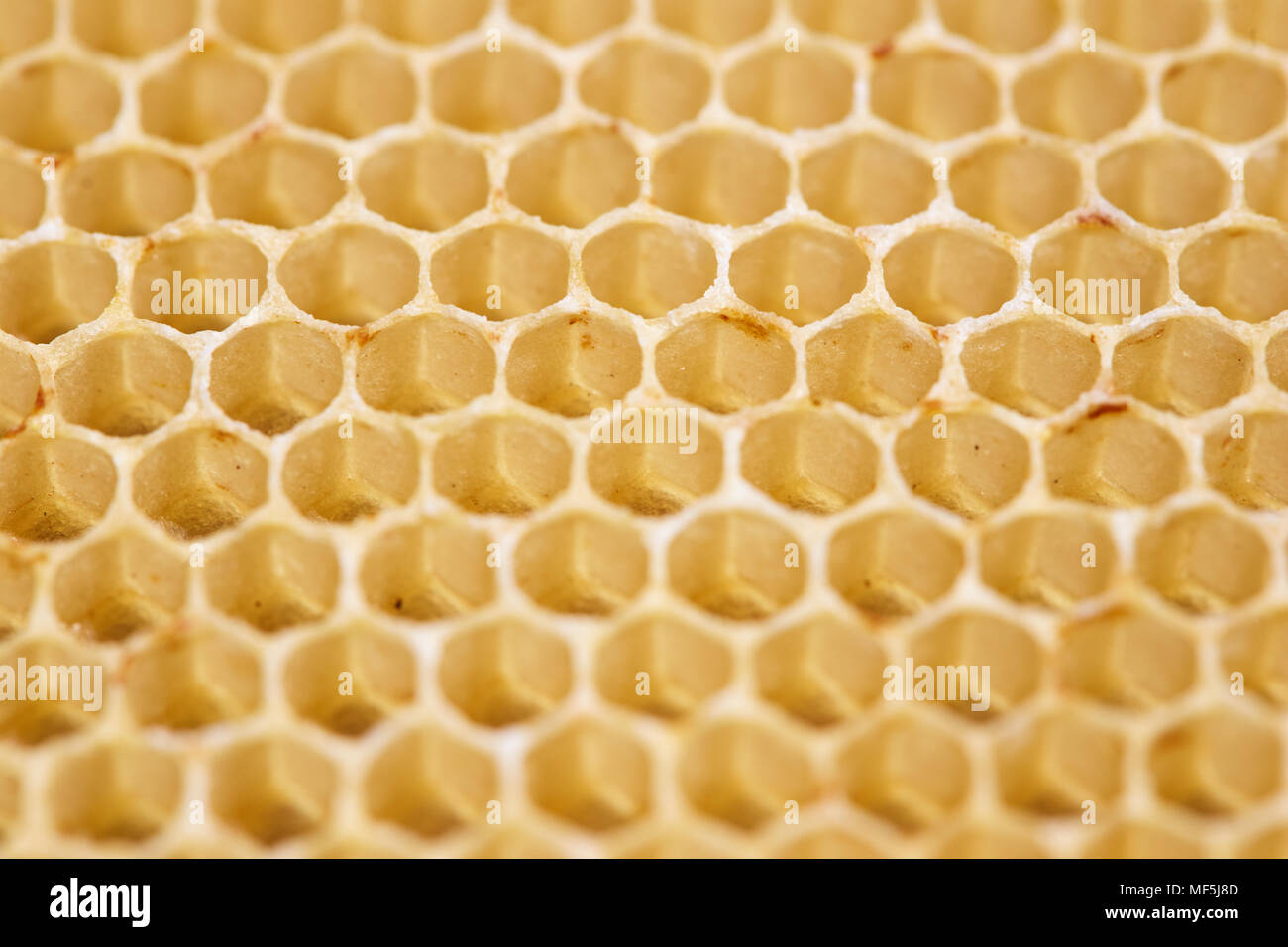 Beehive cell hi-res stock photography and images - Alamy