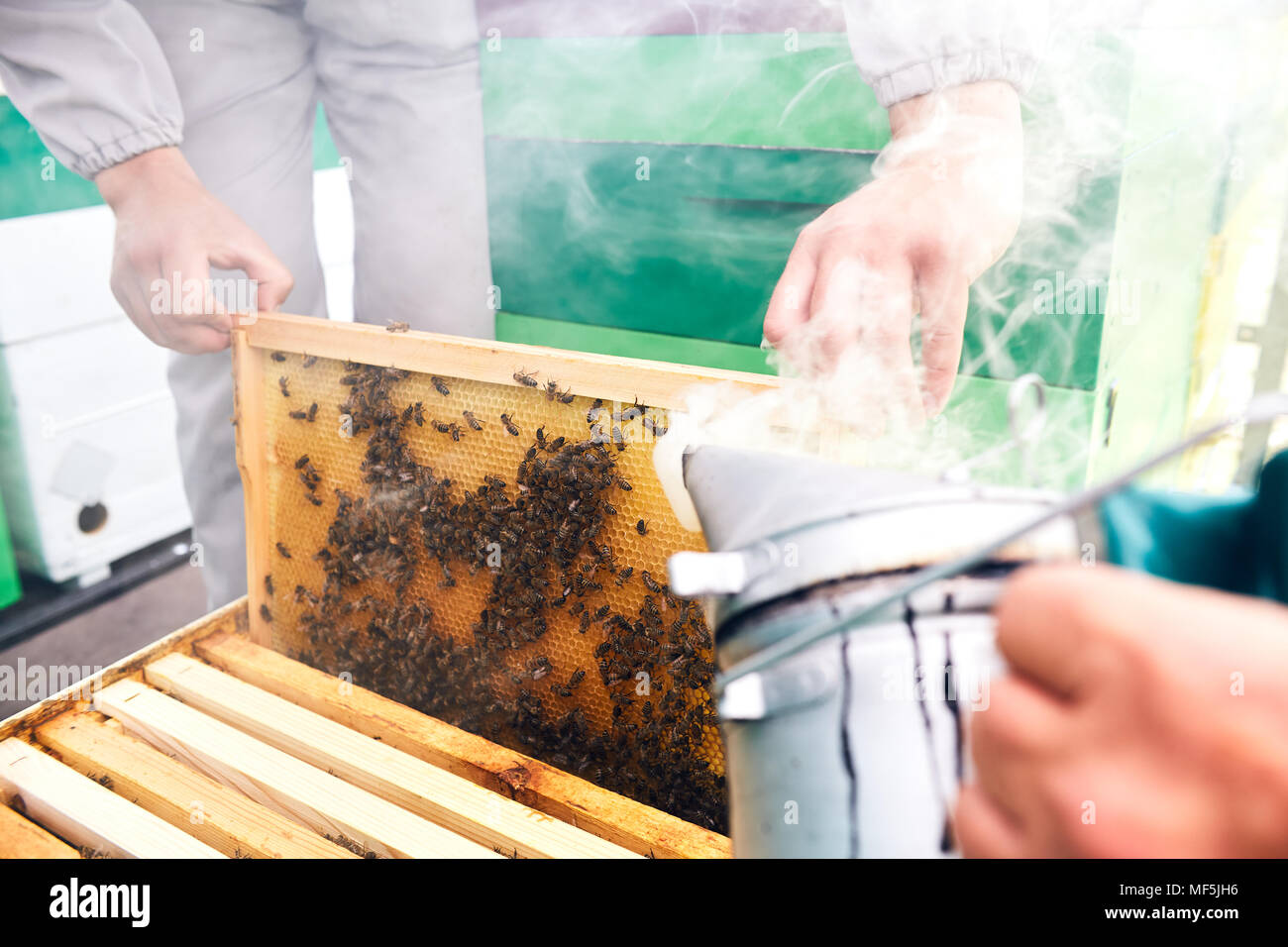 Bee smoking hi-res stock photography and images - Alamy