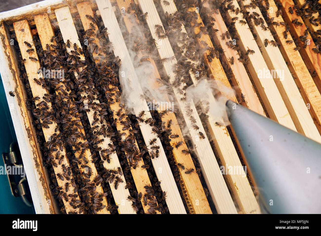 Bee smoking hi-res stock photography and images - Alamy