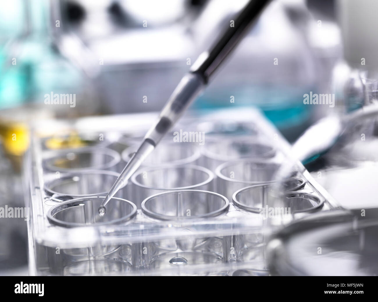 Multiwell plate hi-res stock photography and images - Alamy