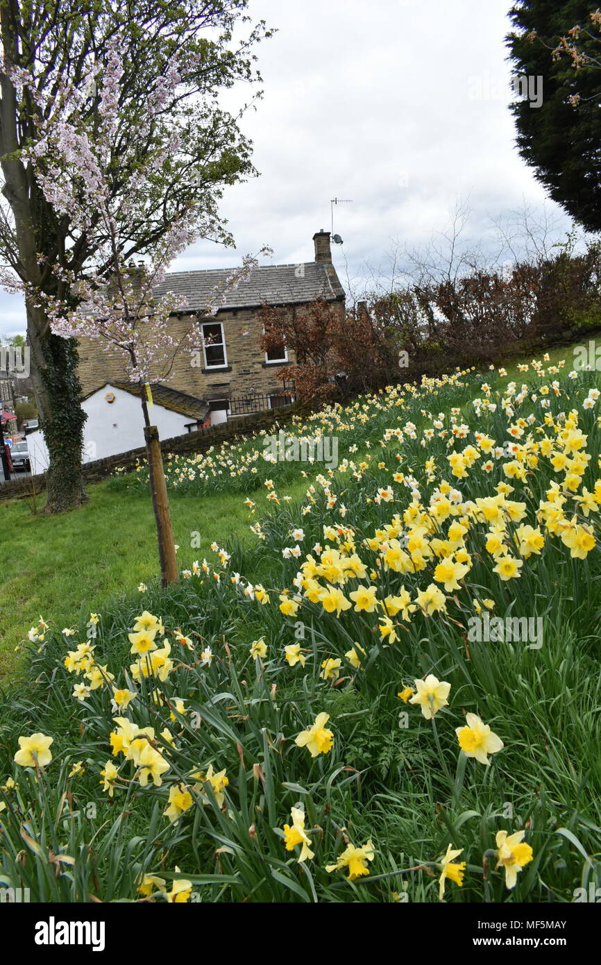 Spring colour pic Stock Photo - Alamy