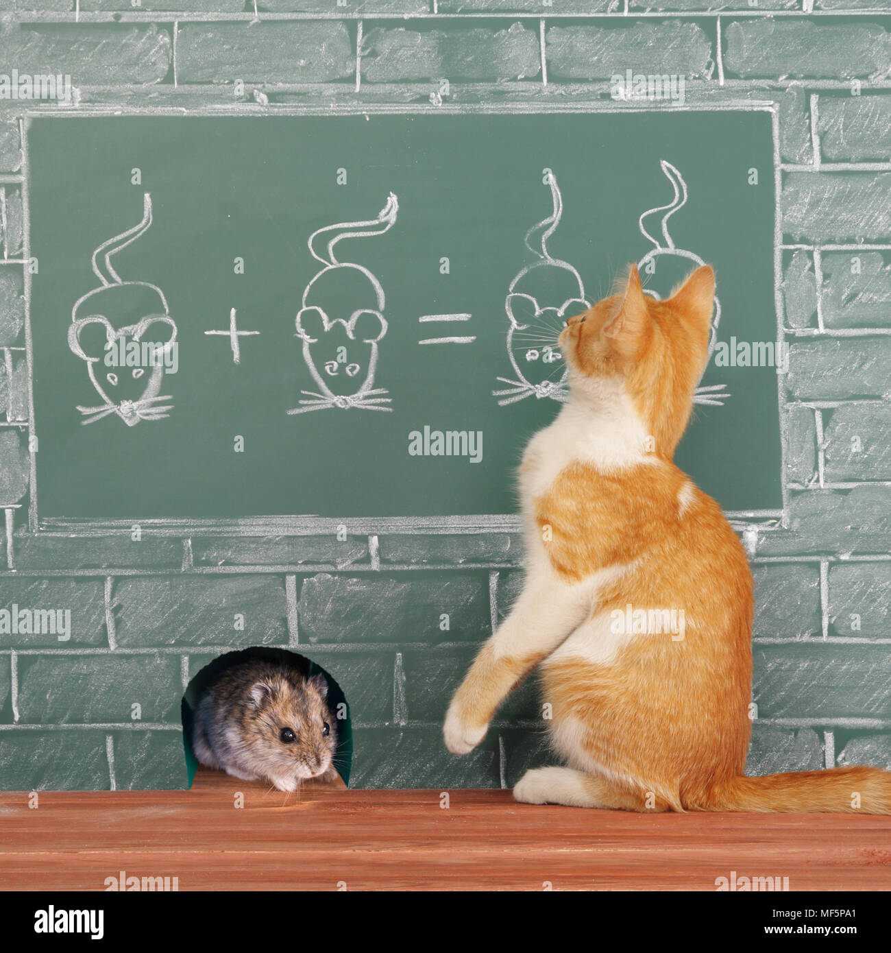 Education idea about foxy Cat studied mathematics on example of ...