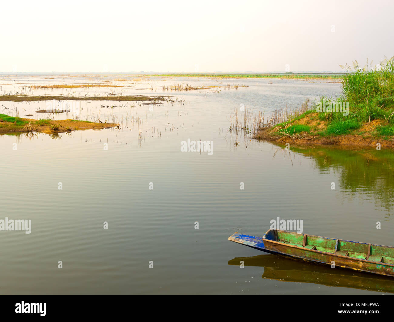 Local Wooden Boat Floating in The Swamp Stock Photo - Alamy