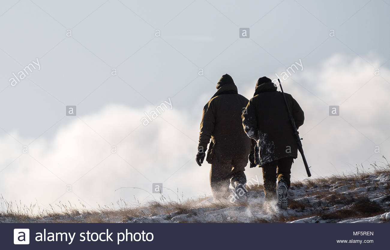 Deer Stalking Scotland Stock Photos & Deer Stalking Scotland Stock ...