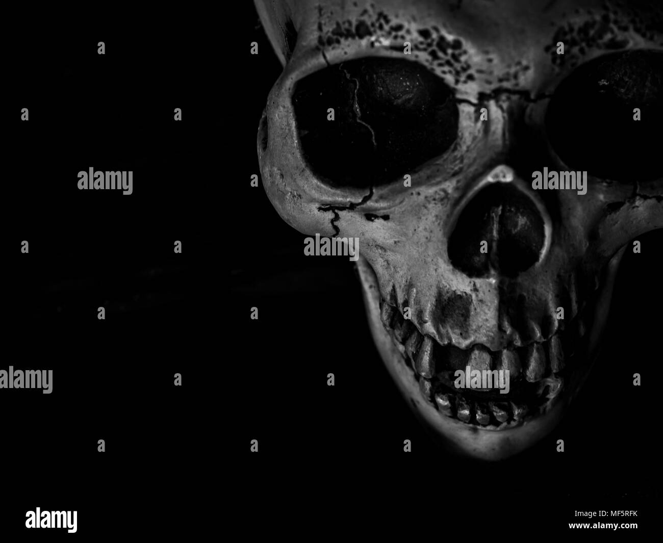 Skull texture hi-res stock photography and images - Alamy